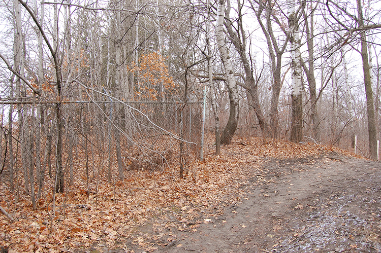 Upland Garden old Fence Line